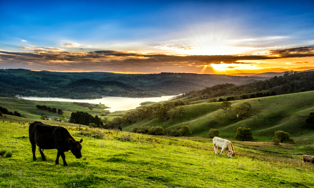 Mona Farm | Aussie Farm Stays